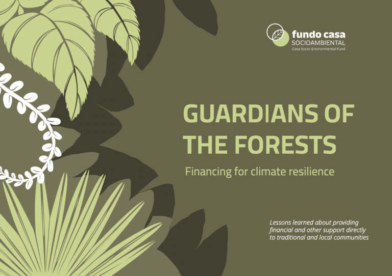 Human Rights Funders Network - Guardians of the Forests - Financing for ...